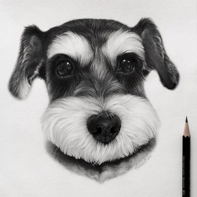 Hyper-Realistic Animal Pencil Drawings By Helen Violet » Design You ...