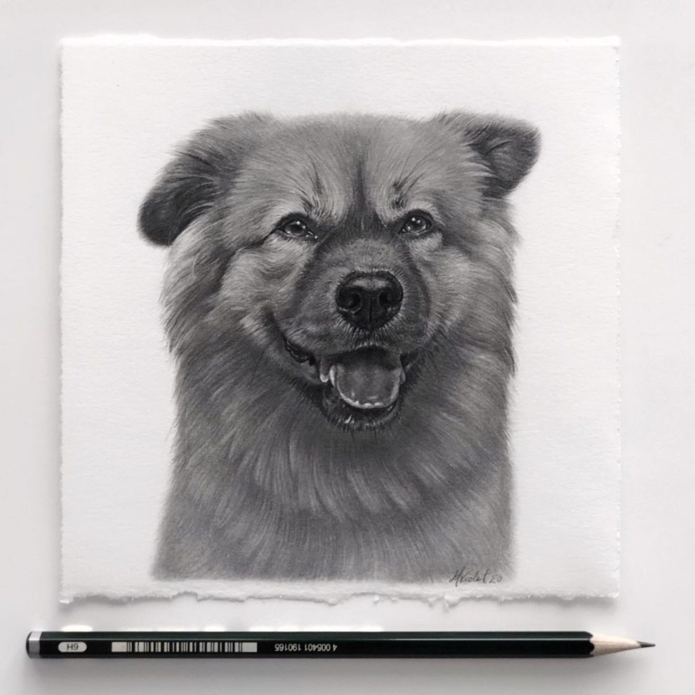 Hyper-Realistic Animal Pencil Drawings By Helen Violet » Design You ...