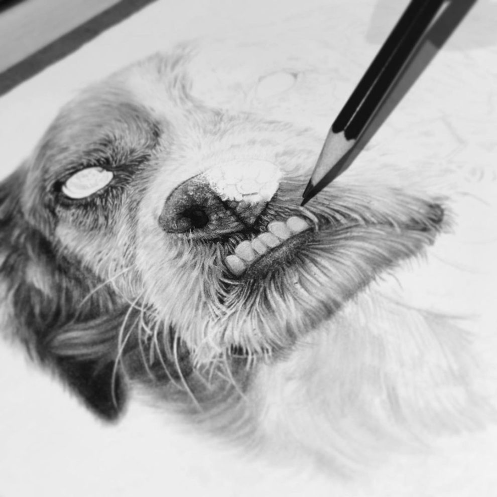 Hyper-Realistic Animal Pencil Drawings By Helen Violet » Design You ...