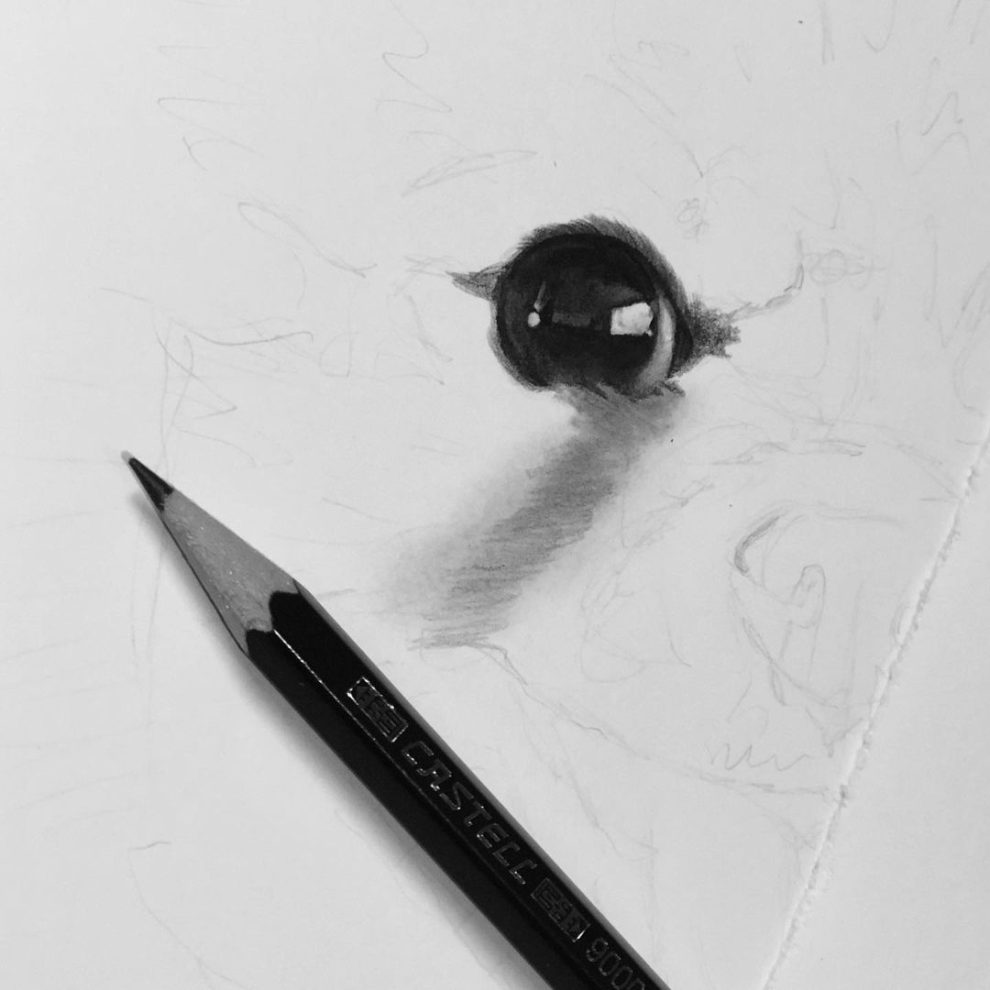 Hyper-Realistic Animal Pencil Drawings By Helen Violet » Design You ...