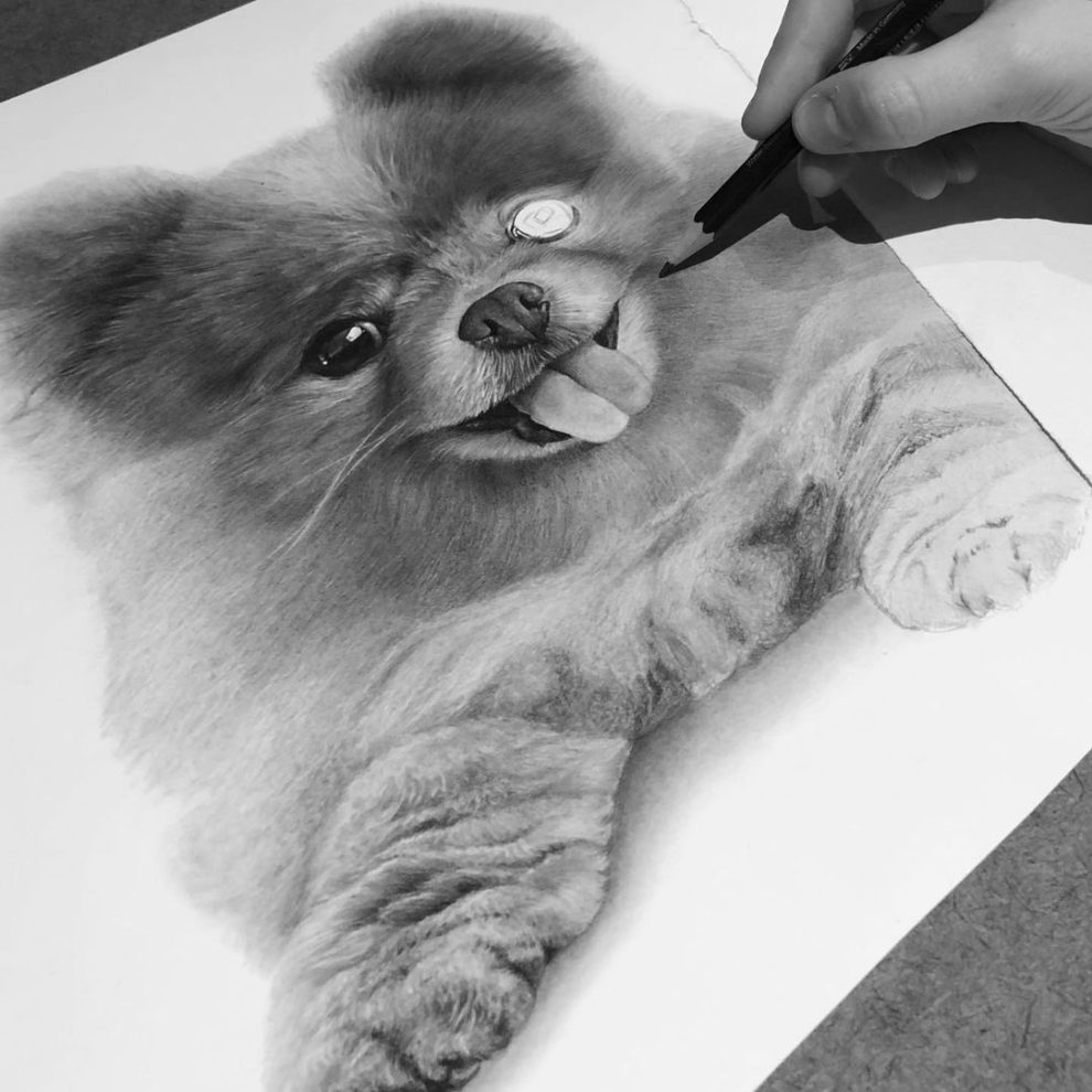 Hyper-Realistic Animal Pencil Drawings By Helen Violet » Design You ...