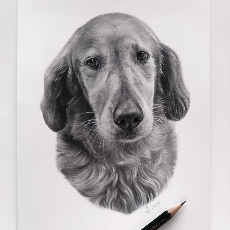 Hyper-Realistic Animal Pencil Drawings By Helen Violet » Design You ...