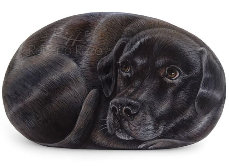 Italian Artist Roberto Rizzo Turns Rocks Into Incredible Animal ...