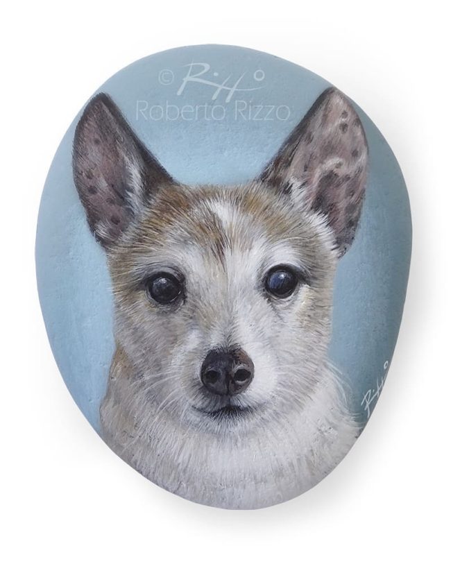 Italian Artist Roberto Rizzo Turns Rocks Into Incredible Animal ...