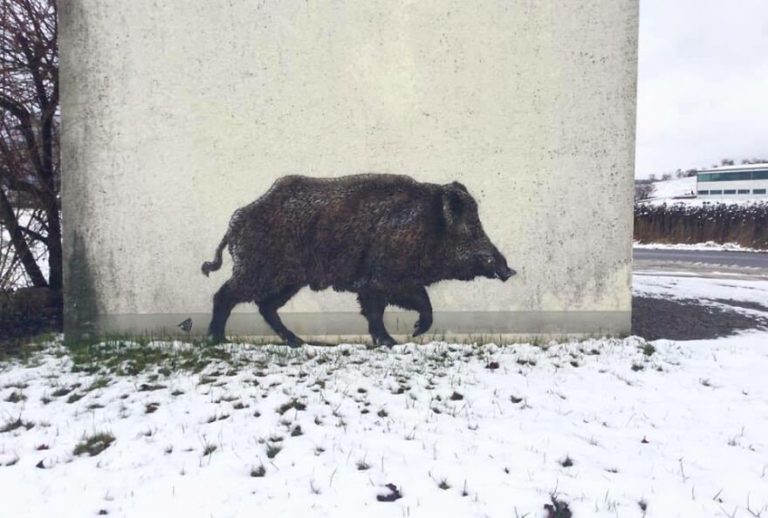 Artist Makes Streets Less Boring By Making Graffiti That Interacts With ...
