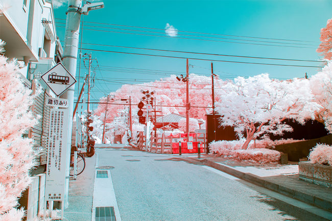 Japanese Photographer Captures Beautiful Dreamy Landscapes of Kamakura ...