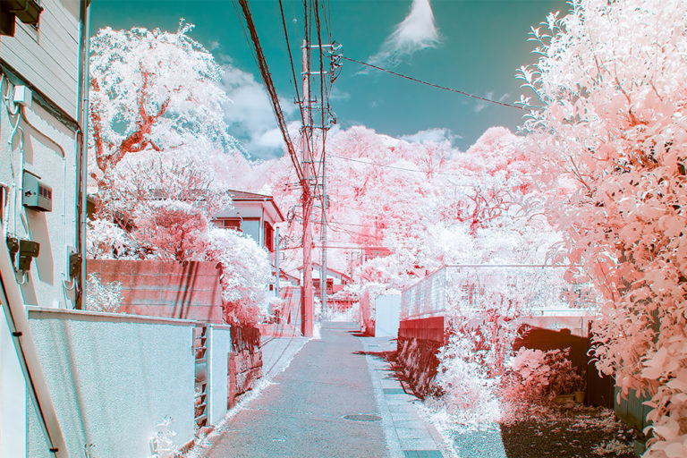 Japanese Photographer Captures Beautiful Dreamy Landscapes of Kamakura ...