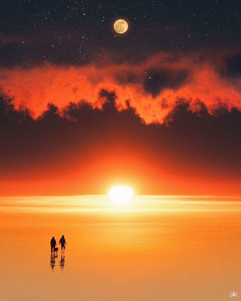 “Watching the Tides Roll Away”: The Unique Upside Down Universe of Irie ...