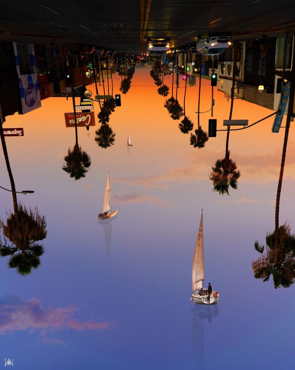 “Watching the Tides Roll Away”: The Unique Upside Down Universe of Irie ...