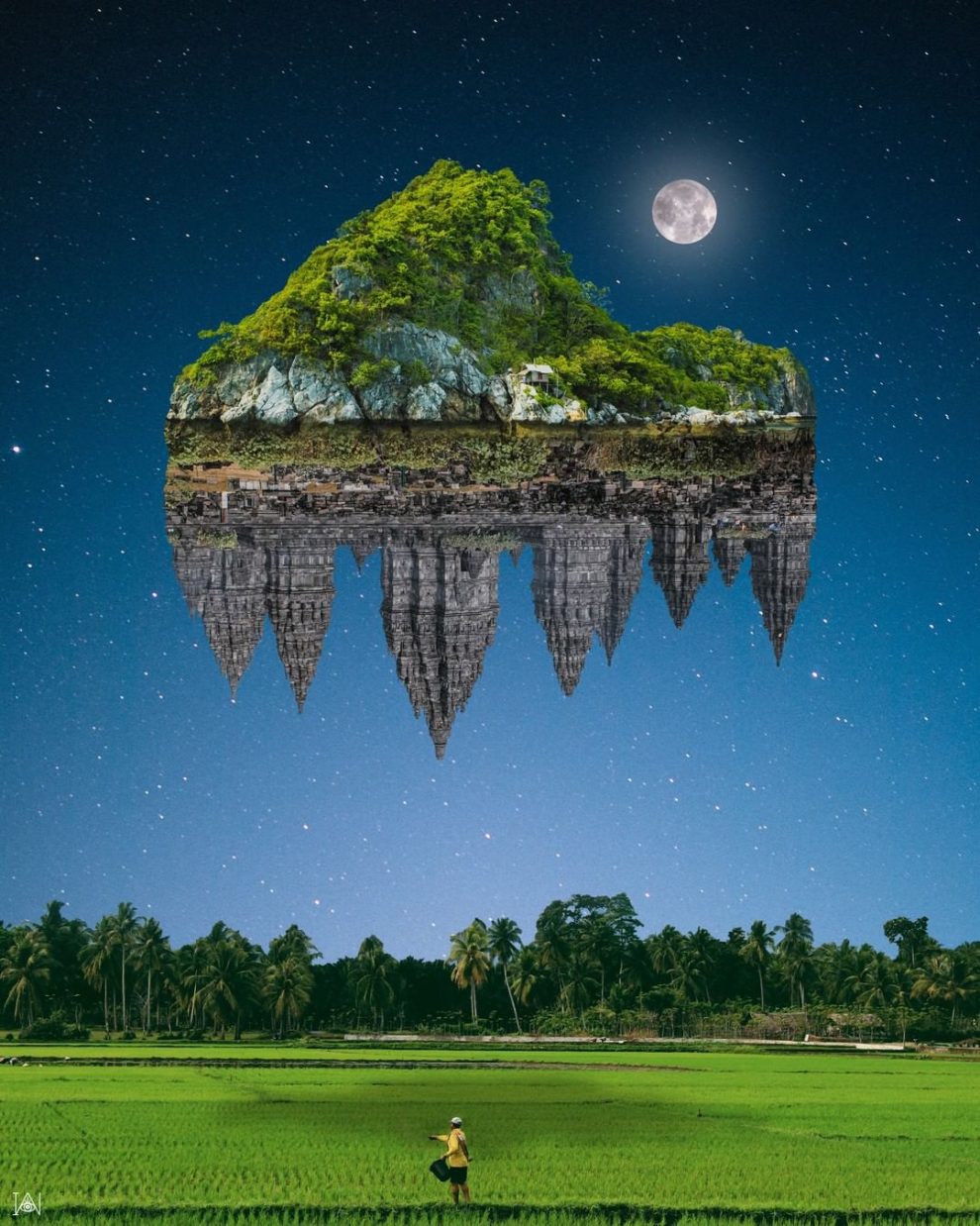 “Watching the Tides Roll Away”: The Unique Upside Down Universe of Irie ...