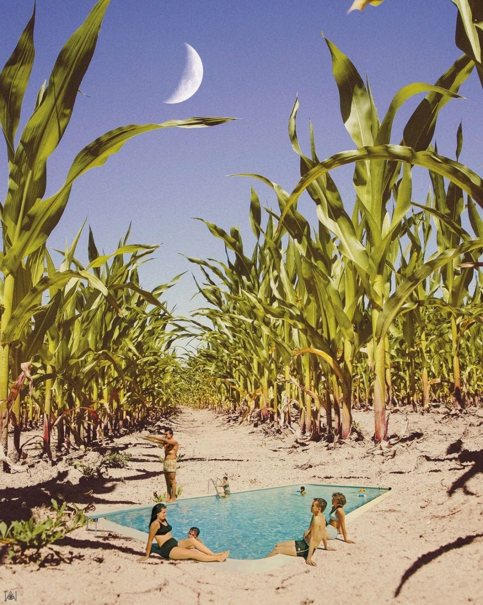 “Watching the Tides Roll Away”: The Unique Upside Down Universe of Irie ...