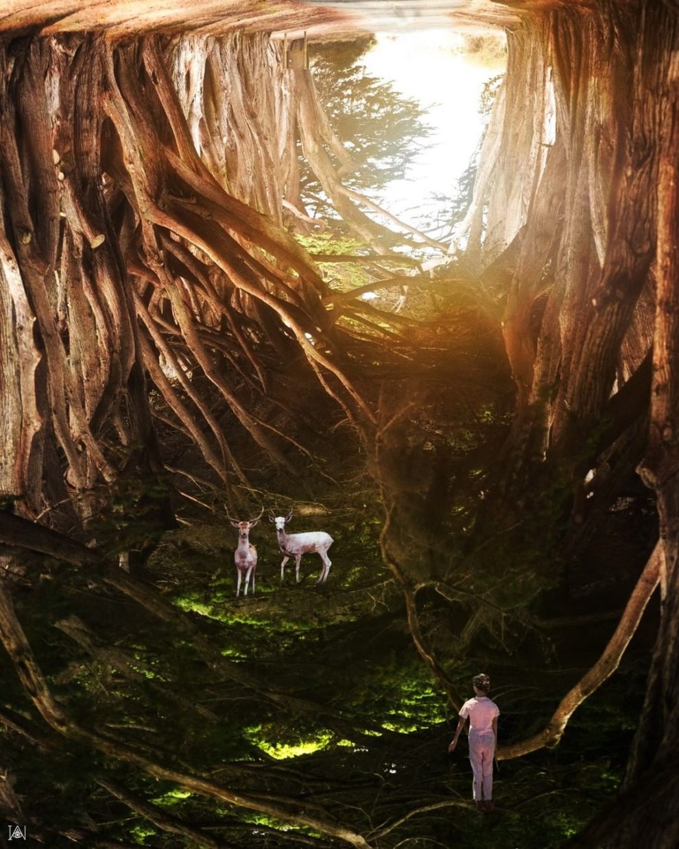 “Watching the Tides Roll Away”: The Unique Upside Down Universe of Irie ...