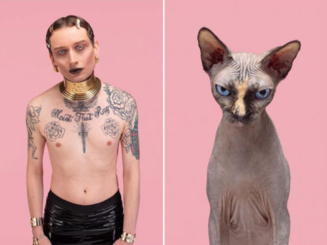 “Do You Look Like Your Cat?” A Memory Game: Match The Cats with Their ...