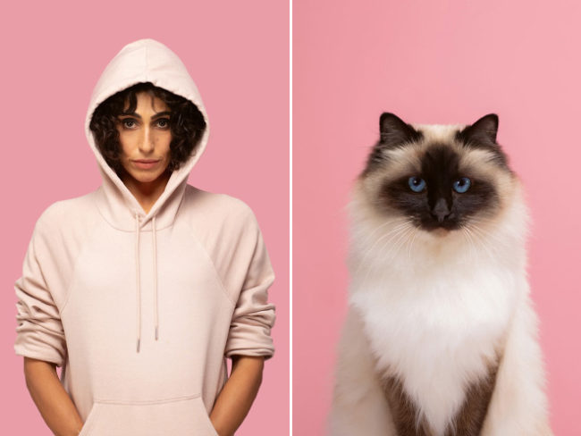 “Do You Look Like Your Cat?” A Memory Game: Match The Cats with Their ...