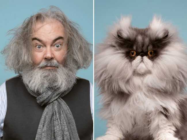 “Do You Look Like Your Cat?” A Memory Game: Match The Cats with Their ...