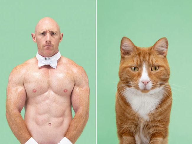 “Do You Look Like Your Cat?” A Memory Game: Match The Cats with Their ...