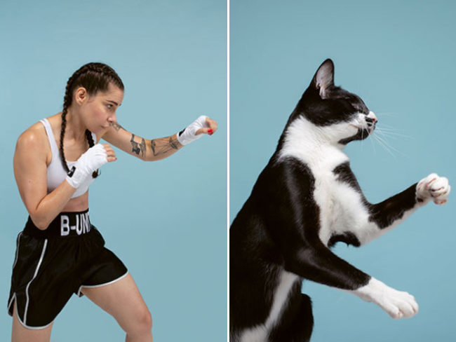 “Do You Look Like Your Cat?” A Memory Game: Match The Cats with Their ...