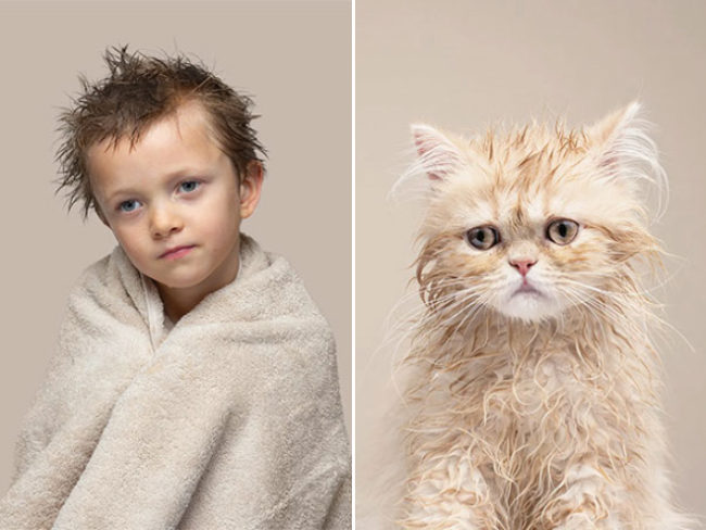 “Do You Look Like Your Cat?” A Memory Game: Match The Cats with Their ...