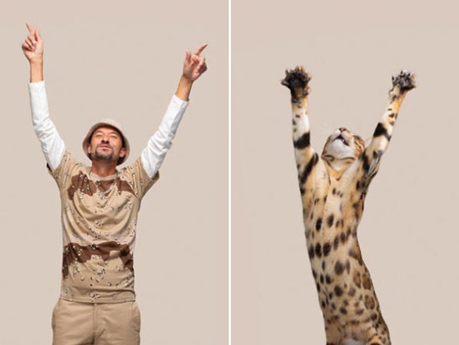 “Do You Look Like Your Cat?” A Memory Game: Match The Cats with Their ...