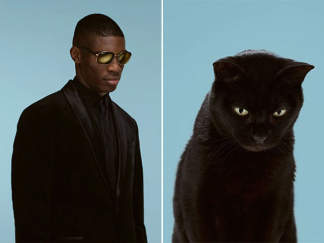 “Do You Look Like Your Cat?” A Memory Game: Match The Cats with Their ...