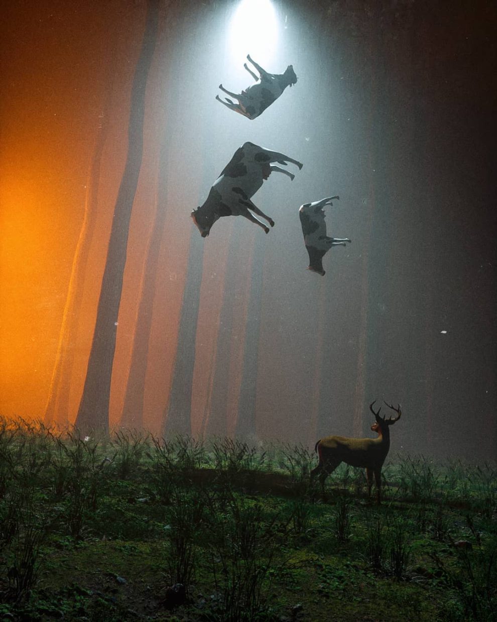 “Keep the Dream Alive”: The Superb Everyday Surreal Artworks of Mostafa ...