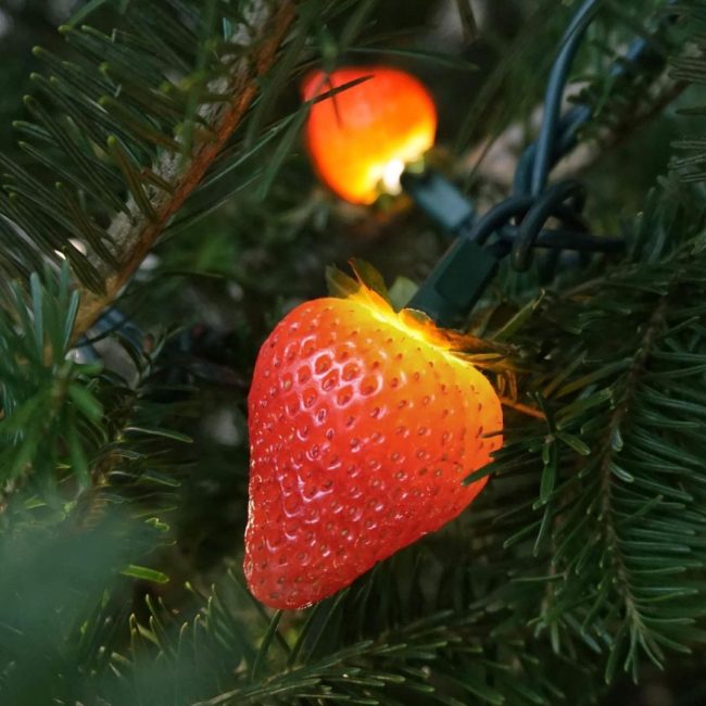 Style Accessories Made From The Most Random Stuff You Can Find In Your ...