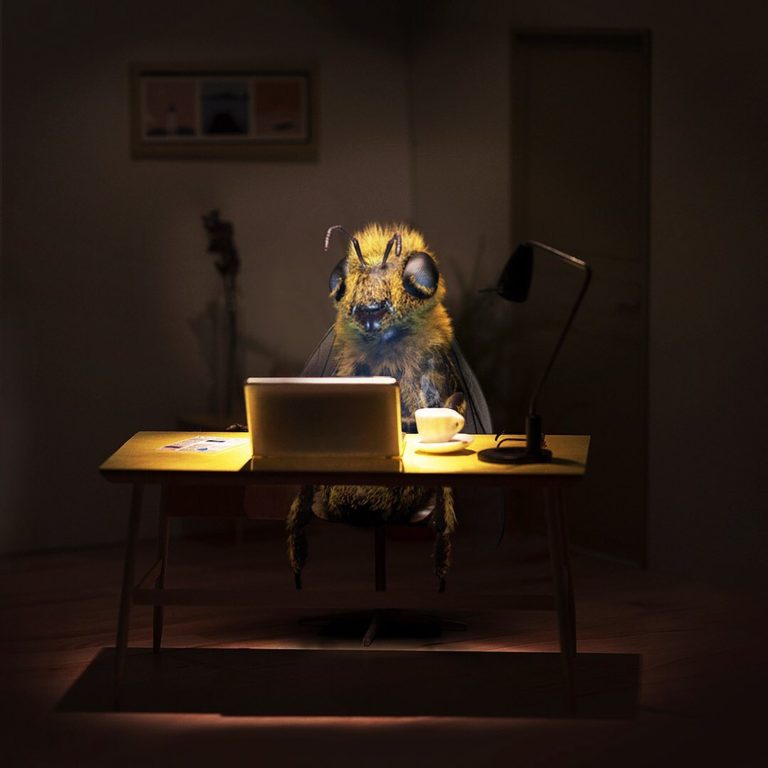 Introducing The World’s First Bee Influencer » Design You Trust ...