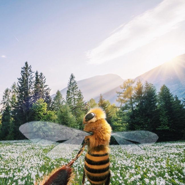 Introducing The World’s First Bee Influencer » Design You Trust ...