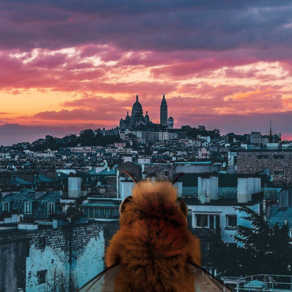 Introducing The World’s First Bee Influencer » Design You Trust ...