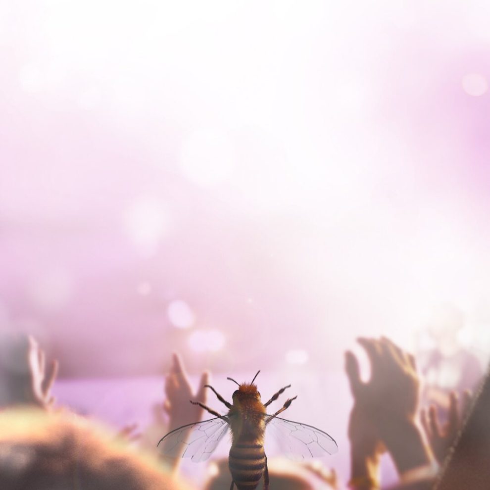Introducing The World’s First Bee Influencer » Design You Trust ...