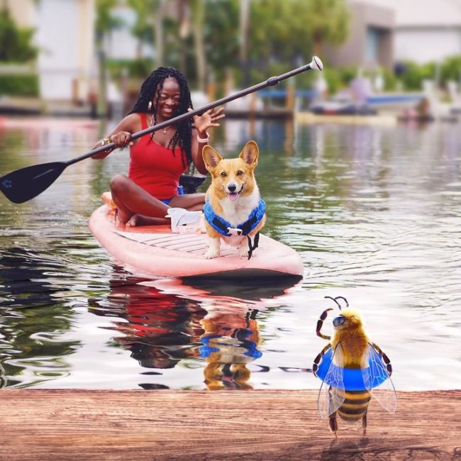 Introducing The World’s First Bee Influencer » Design You Trust ...