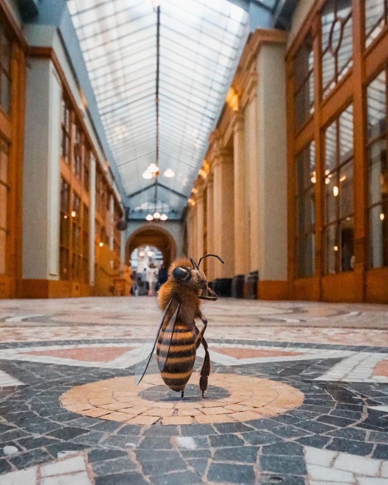 Introducing The World’s First Bee Influencer » Design You Trust ...