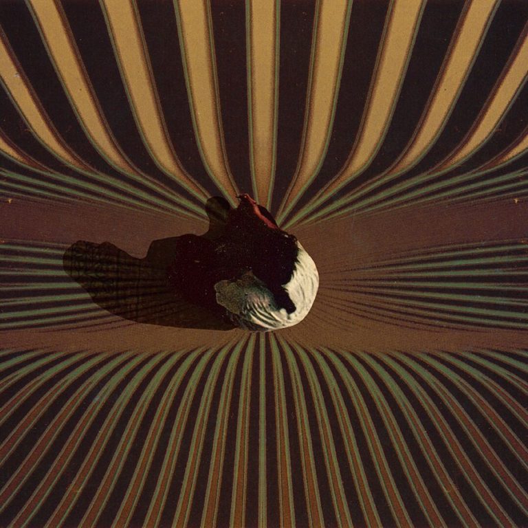 Valentin Pavageau, the Traveler of a Psychedelic Universe » Design You ...