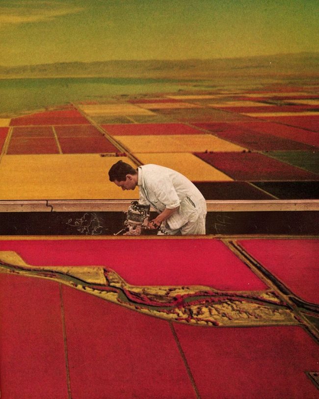 Valentin Pavageau, the Traveler of a Psychedelic Universe » Design You ...