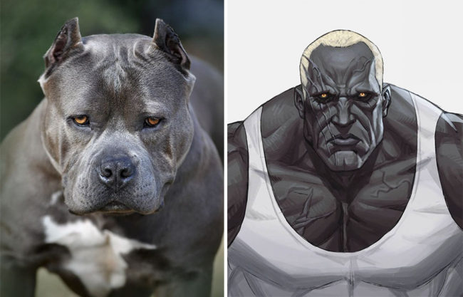 Korean Artist Transforms Animals Into Anime-Like Characters While ...