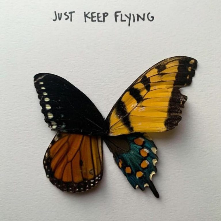 “So Fly Taxidermy”: Artist Uses Insects To Make Fun And Quirky Cartoons ...