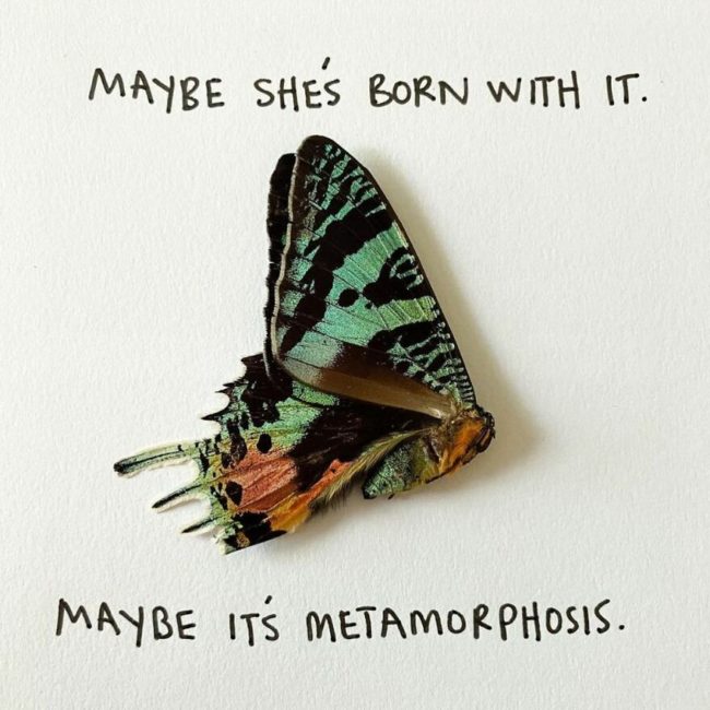 “So Fly Taxidermy”: Artist Uses Insects To Make Fun And Quirky Cartoons ...