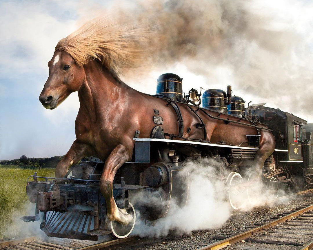 Artist Creates Fantastic Surreal Edits Using Animals, Plants, People ...