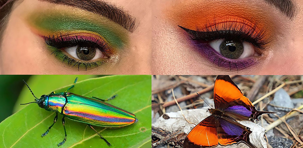 Artist Shows The Beauty Of Insects With Her Matching Eye Makeup Looks ...