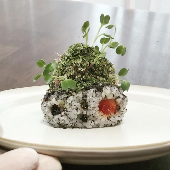 Japanese Artist Makes Rice Balls Of Popular Characters, Animals ...