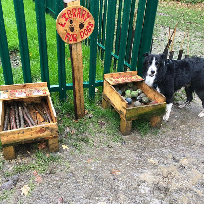 People Are Building Dog Libraries, And It’s Adorable » Design You Trust ...