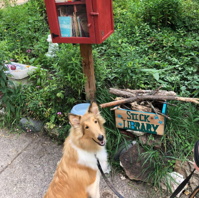 People Are Building Dog Libraries, And It’s Adorable » Design You Trust ...