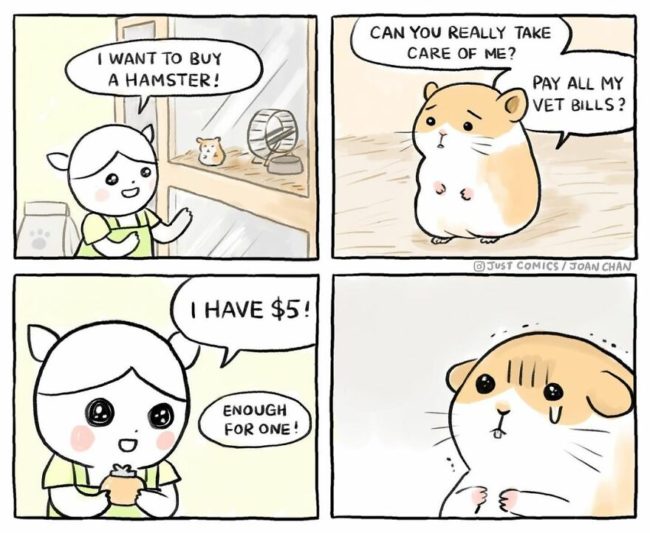 Artist Illustrates The Sad Reality Of Animal Cruelty And Shows How ...