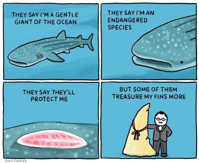 Artist Illustrates The Sad Reality Of Animal Cruelty And Shows How ...