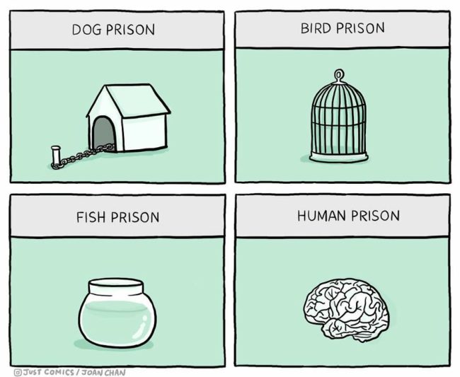 Artist Illustrates The Sad Reality Of Animal Cruelty And Shows How ...