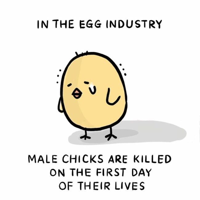Artist Illustrates The Sad Reality Of Animal Cruelty And Shows How ...