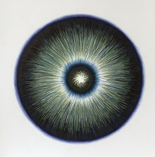 Russian Artist Draw Interesting Pupils Of The Eyes, Here Are 11 Of Them ...