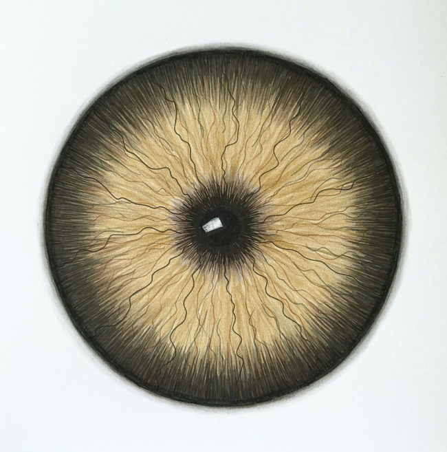 Russian Artist Draw Interesting Pupils Of The Eyes, Here Are 11 Of Them ...