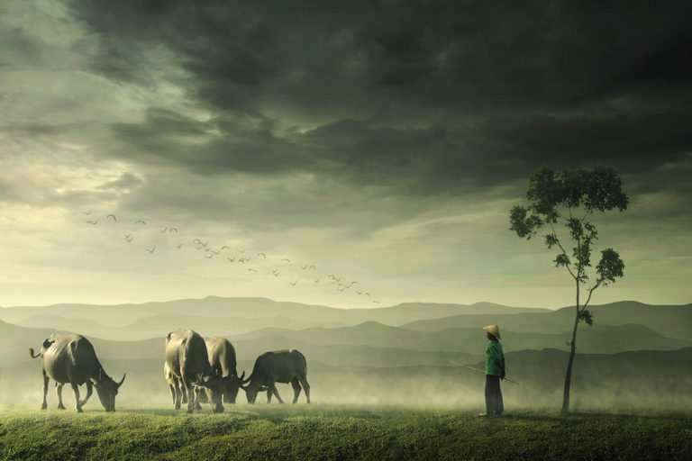 Dramatic Art Photography By Sukron Mamun Which Will Leave You ...