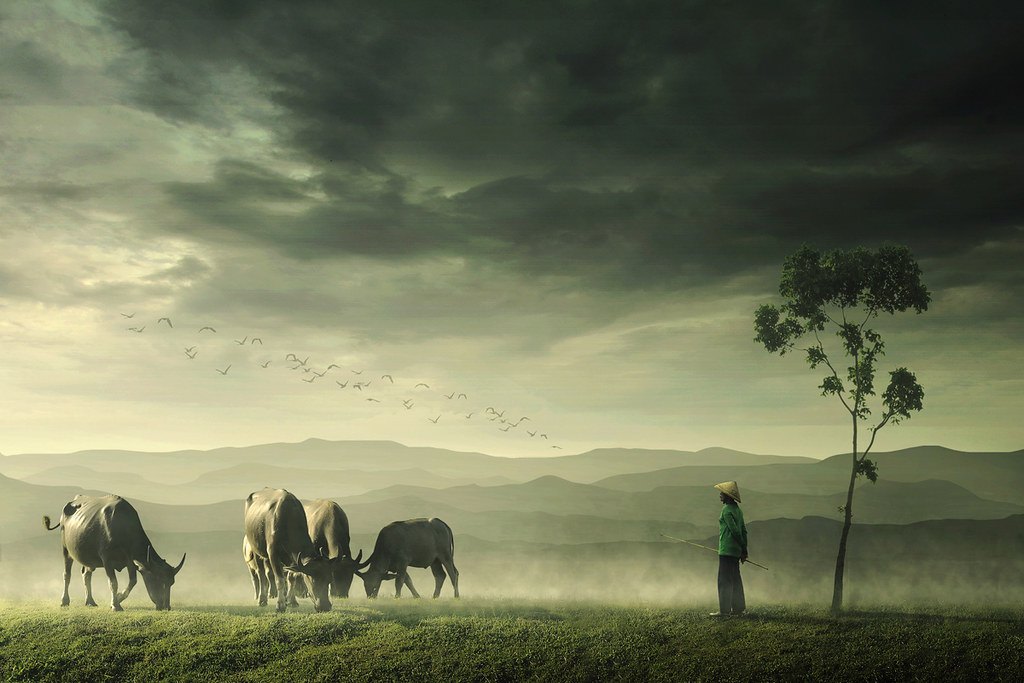 Dramatic Art Photography By Sukron Mamun Which Will Leave You ...